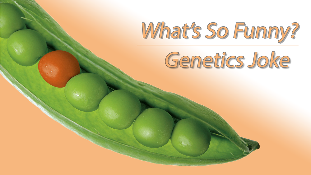 Mendelian Genetics Jokes