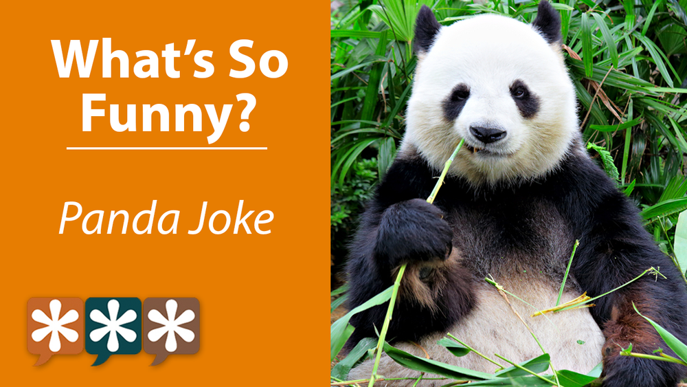 Panda Joke December