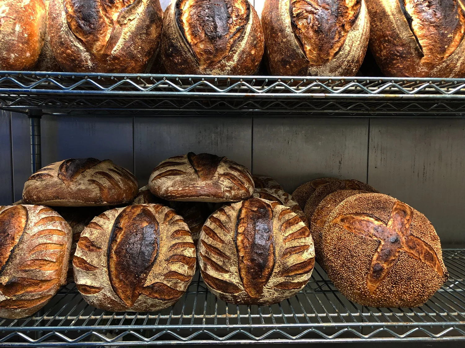 New Page — Dan the Baker