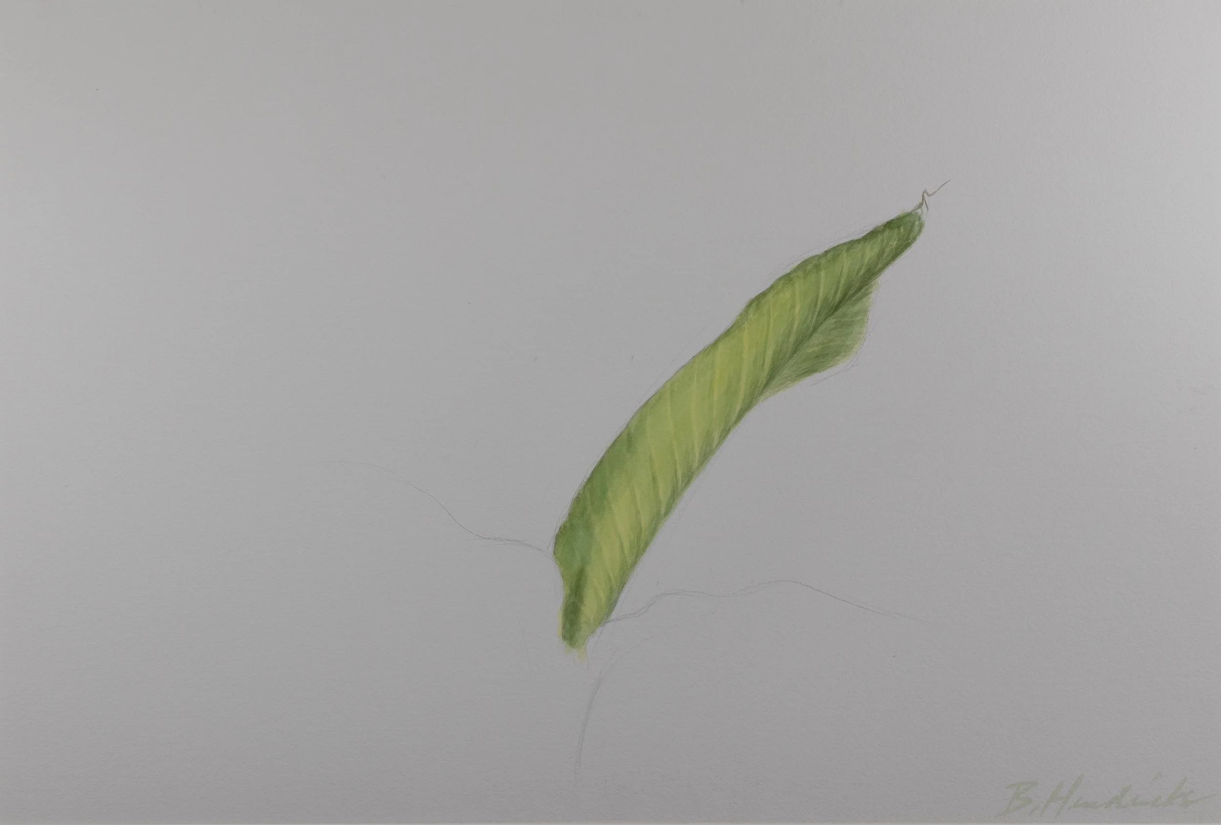 Barkley Hendricks (1945-2017) — BLACK ART AUCTION