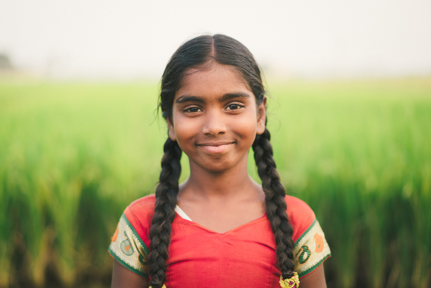 Harvest India — Adam Kingman