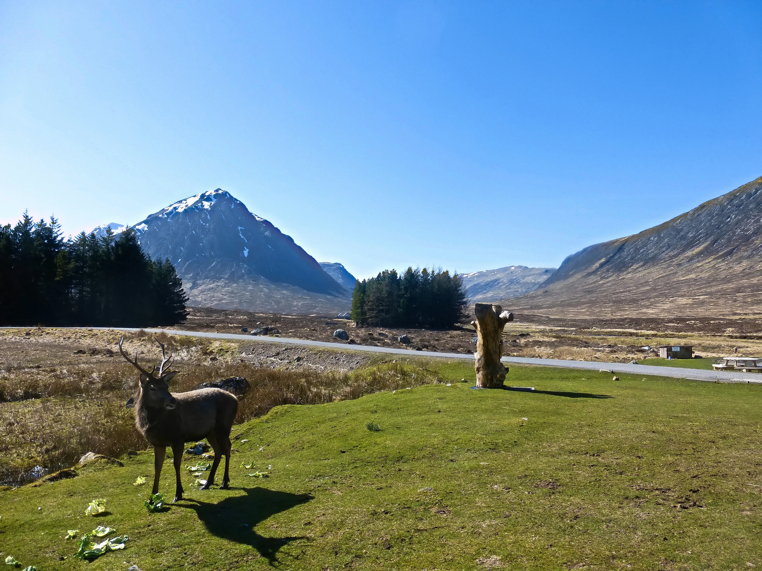 The Heart of Scotland Trail — Walk Across Scotland
