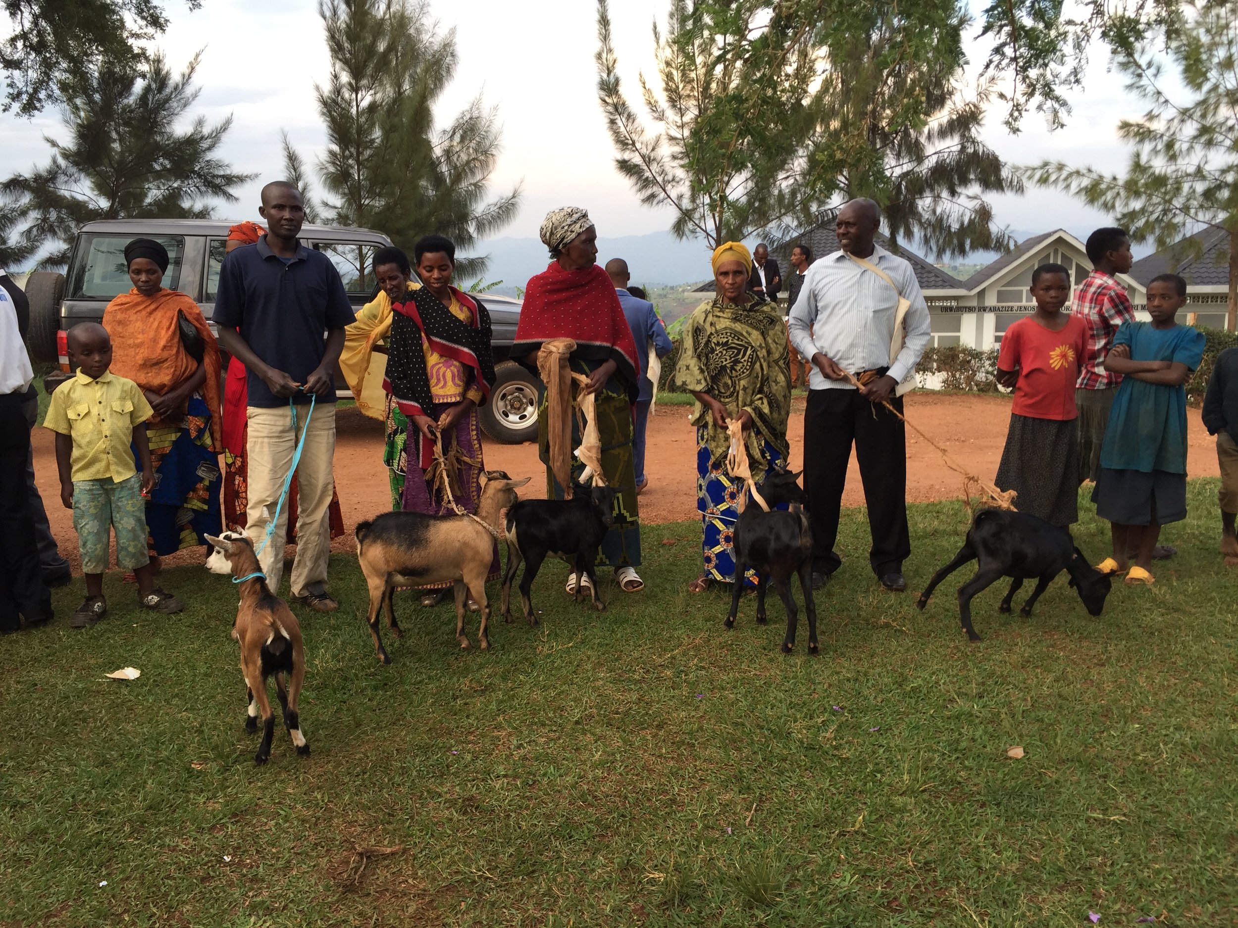 Goats for Rwanda — The Outreach Foundation