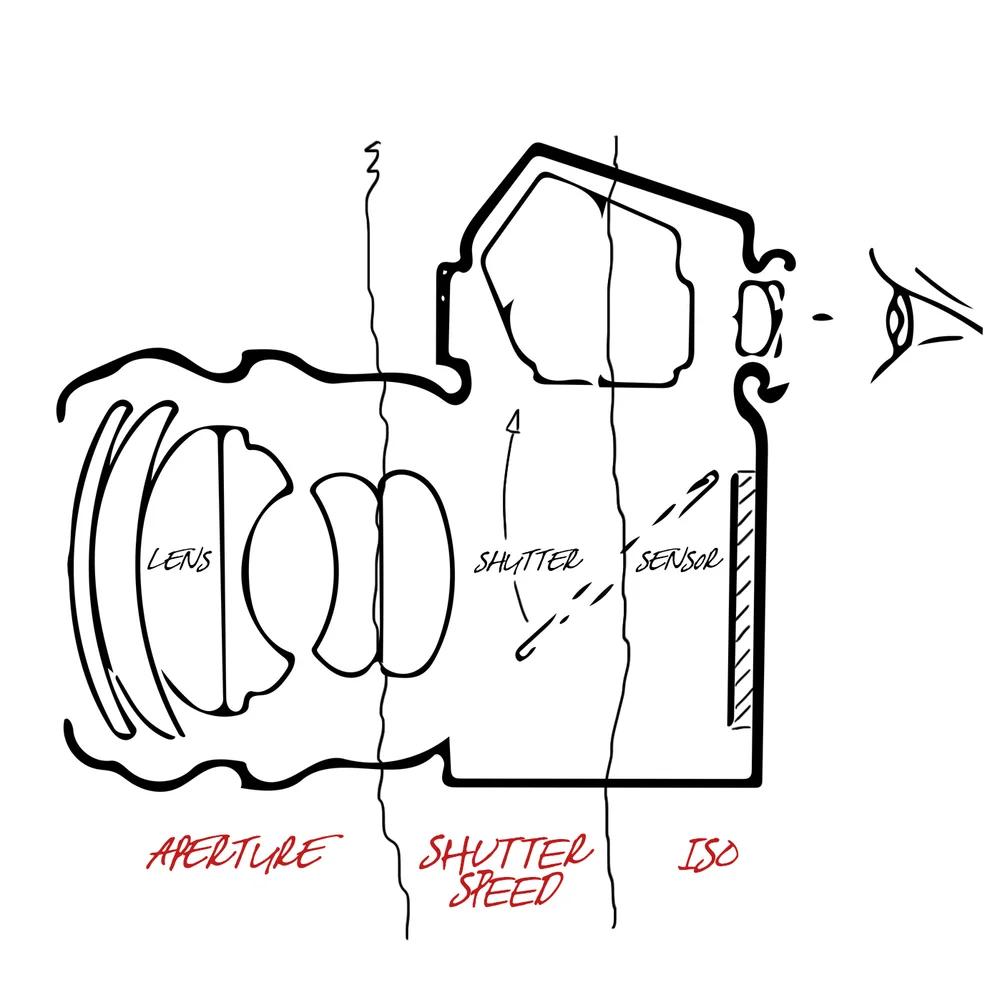 Take Control and Shoot in Manual Mode (A beginners guide) — Sean Tucker ...