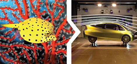 Biomimicry Switzerland