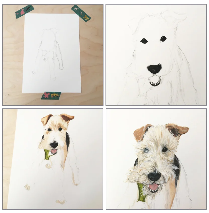 My Pet Portrait Process — Fiona Purves