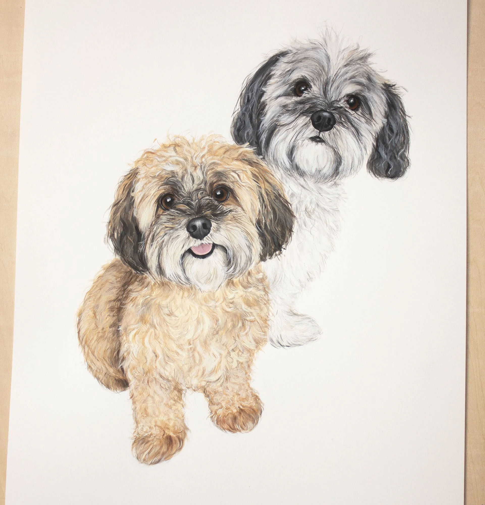 Pet Portraits — Fiona Purves