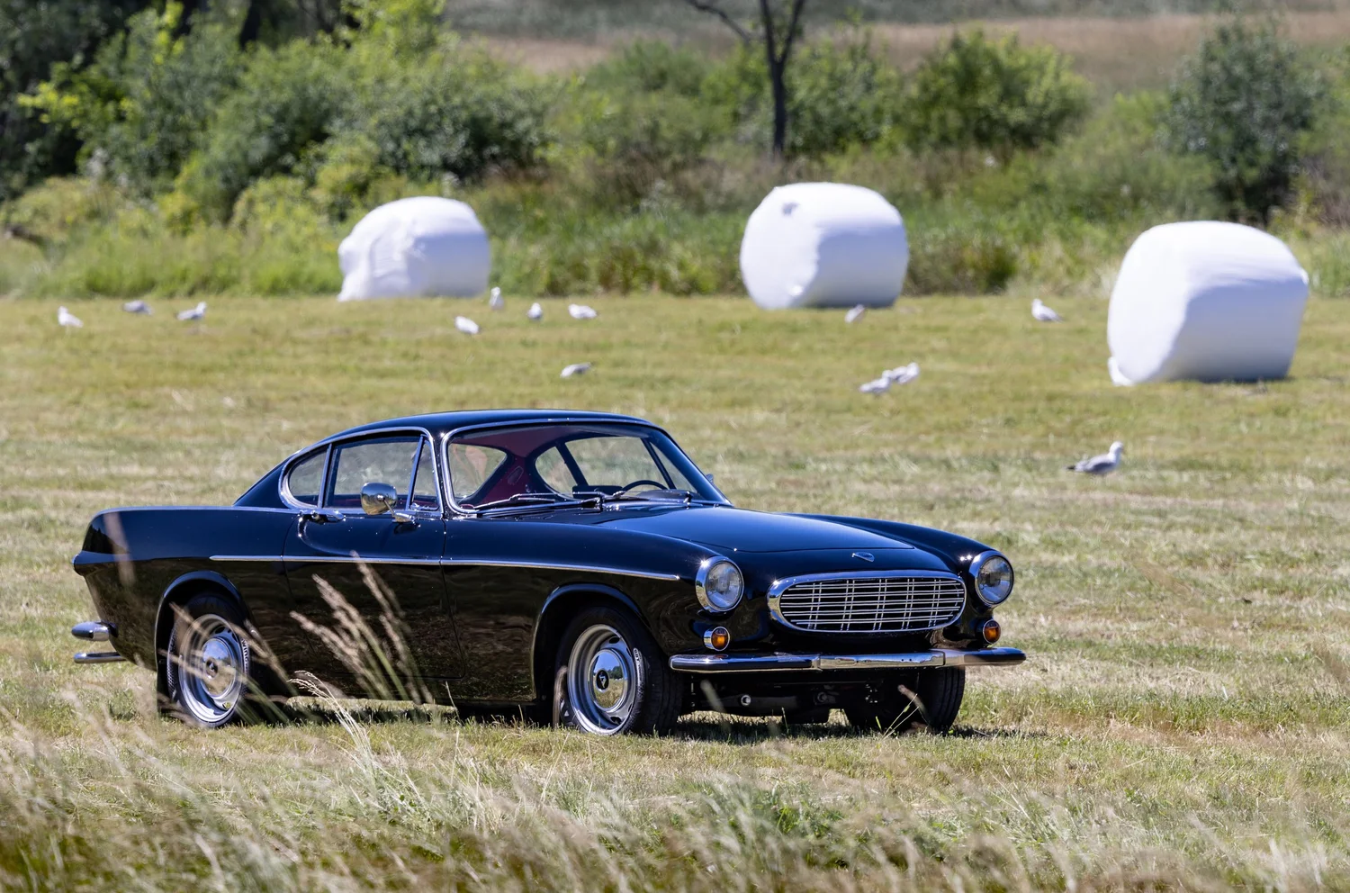 Restoration and Performance Motorcars - INVENTORY