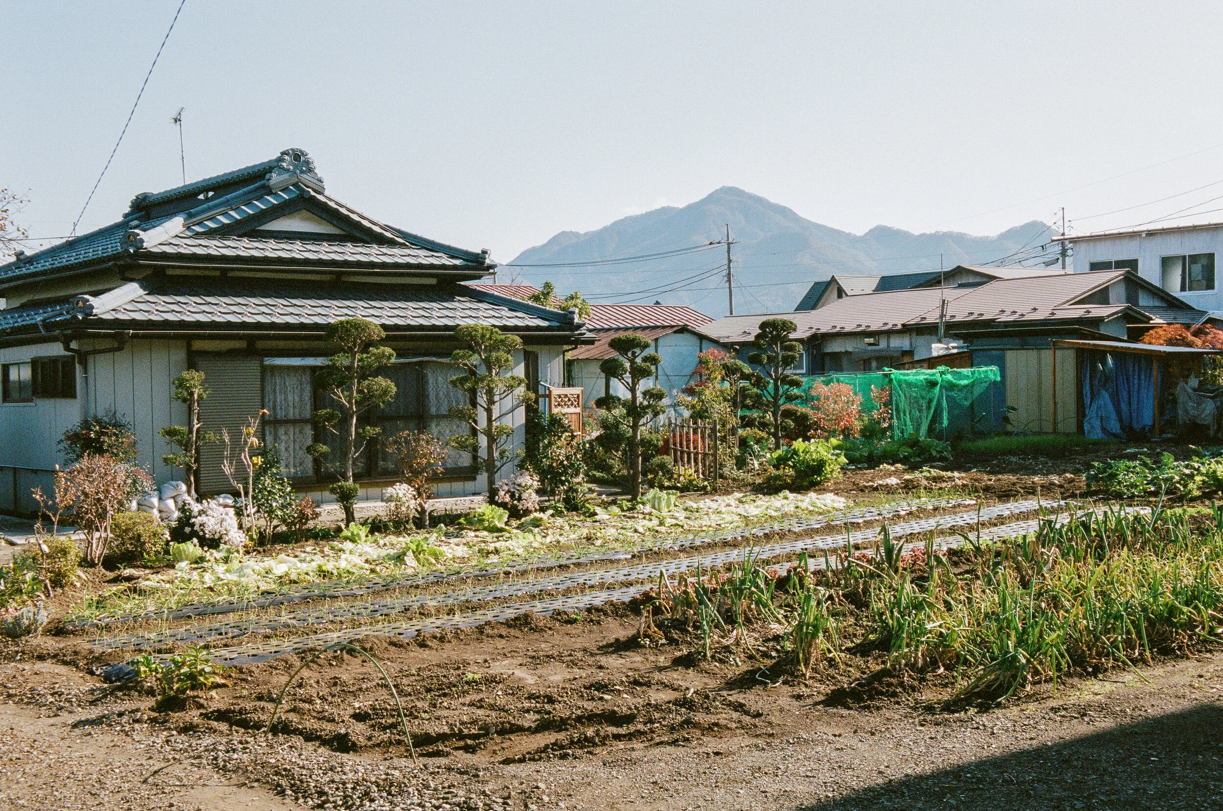JAPAN — Jeffrey Filman Photography