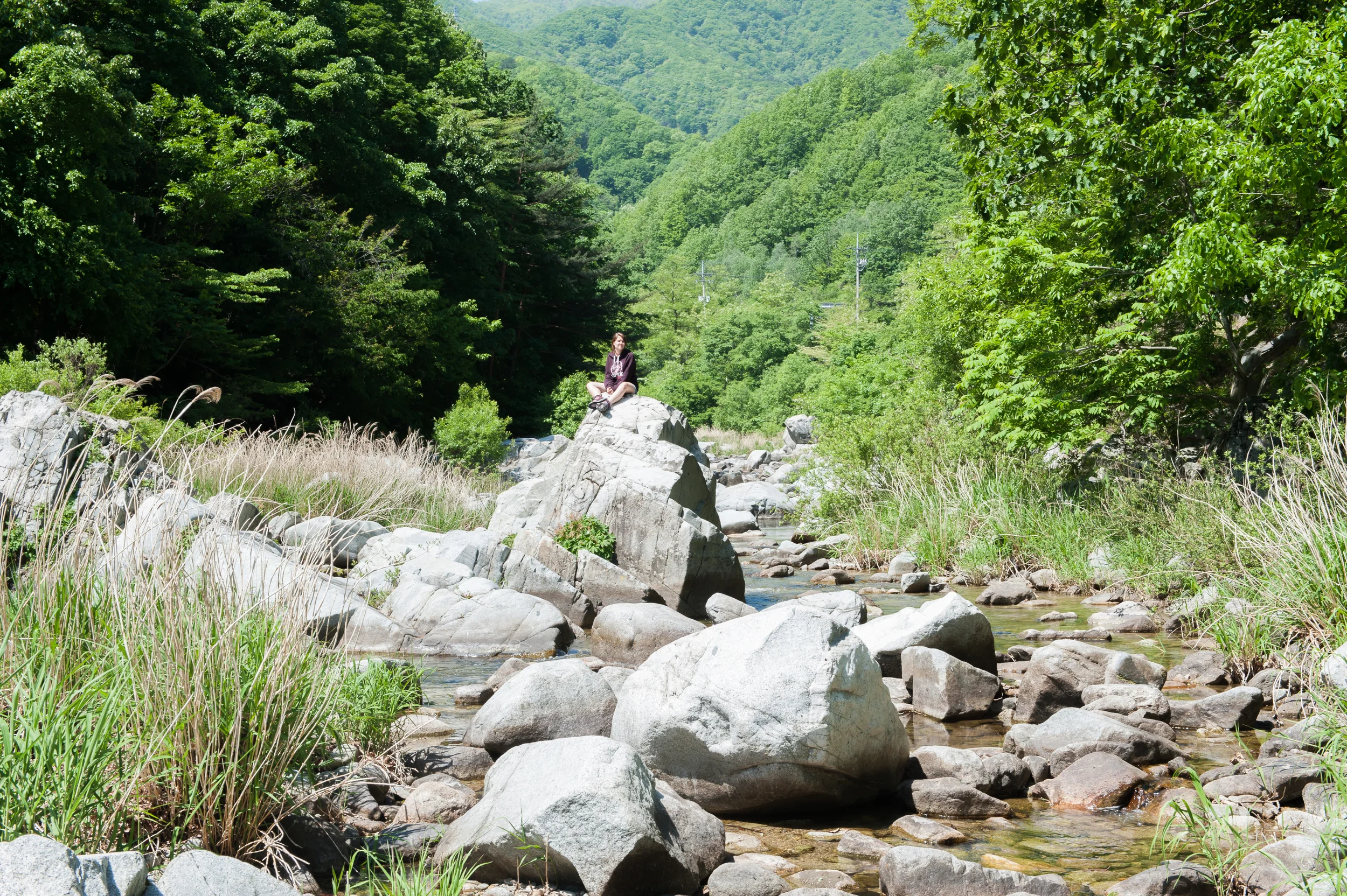 Camping in Korea - Hwacheon, Gangwon Province — CityGirlSearching