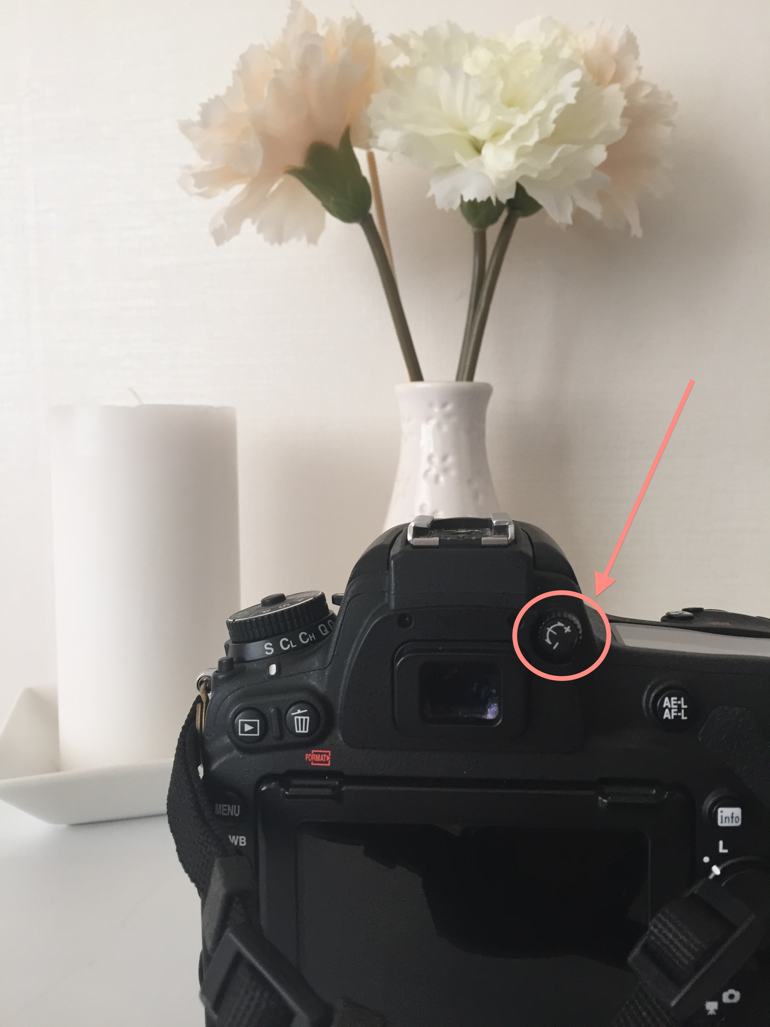 10 Things to Do with your New Camera - helpful tips for all camera ...