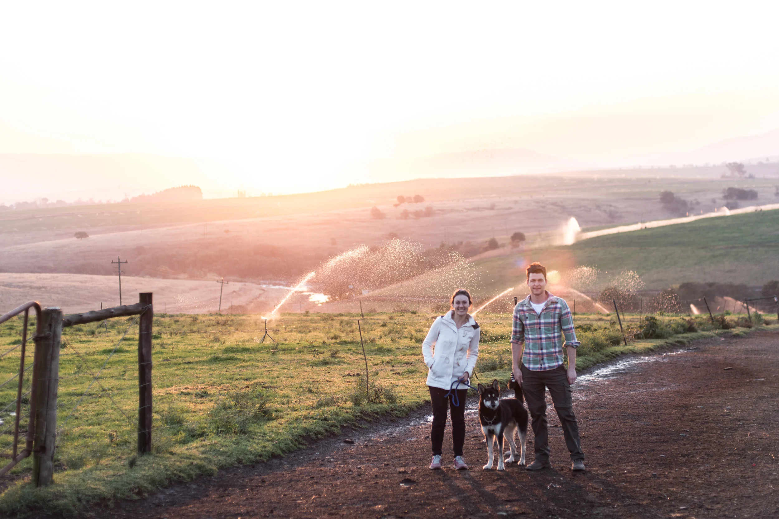 Life on a Dairy Farm - An update on our new home in South Africa ...