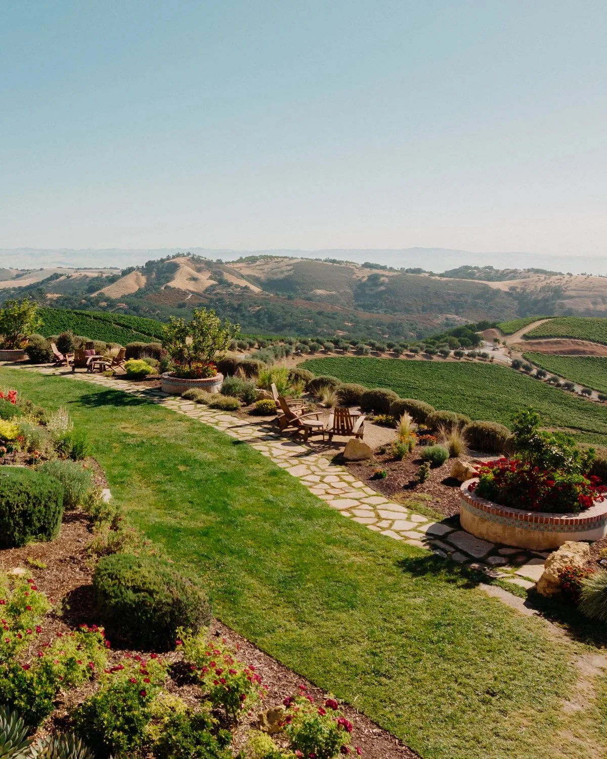 Daou Vineyards Wine Dinner — Ambrosia Restaurant and Bar