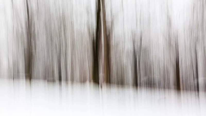 Another Winter's Day — Christopher Thomas Limbrick