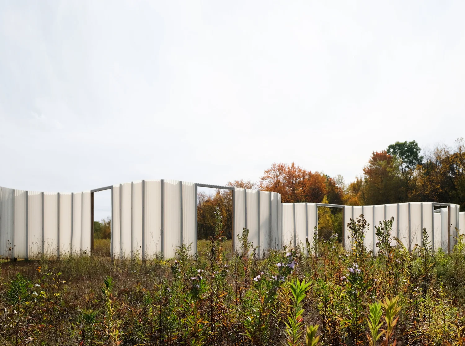 over the line — Studio Cadena