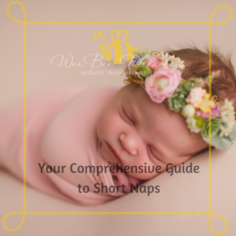 Comprehensive Short Nap Guide — Wee Bee Dreaming Pediatric Sleep Consulting