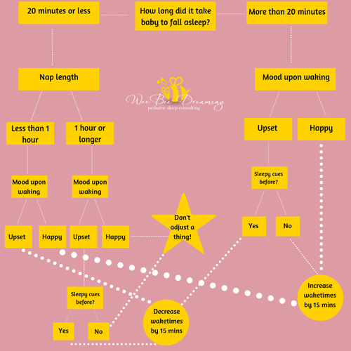 Low Sleep Needs Babies and Toddlers — Wee Bee Dreaming Pediatric Sleep ...