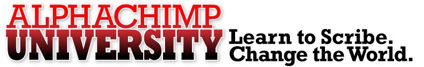 Learn Visual Facilitation Skills — Alphachimp