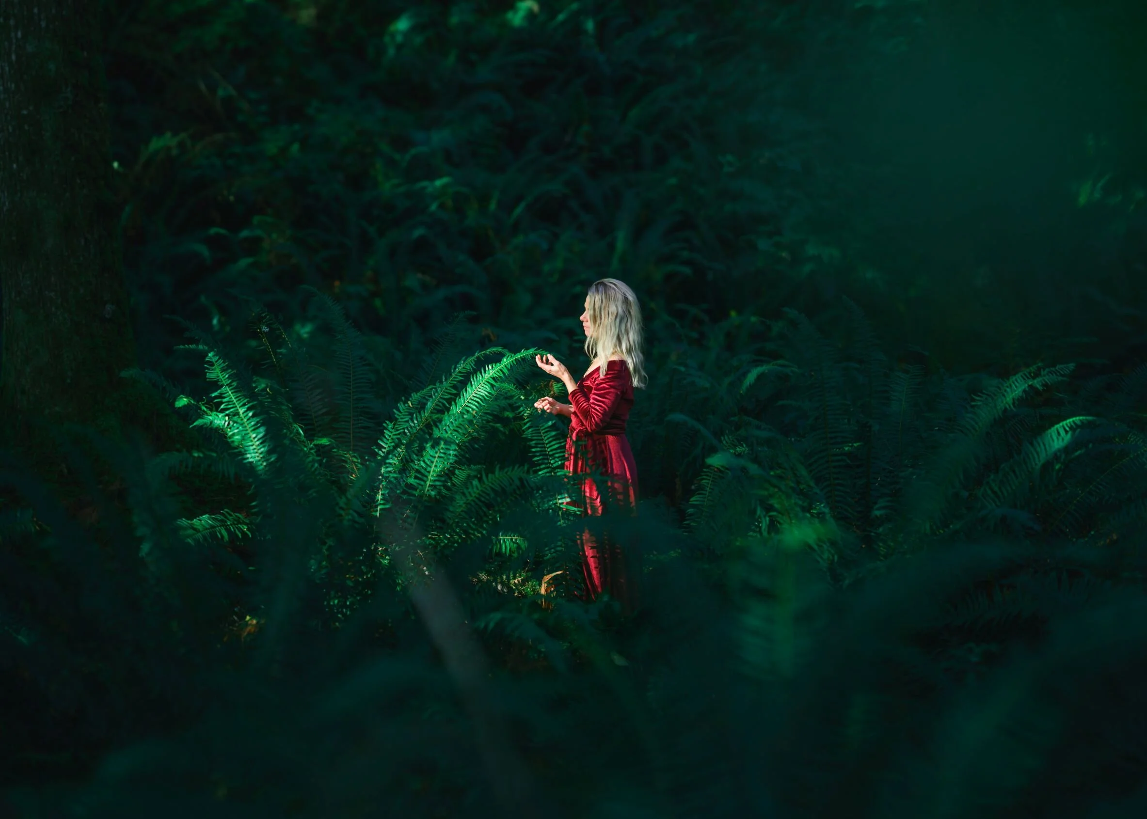 Client Portraits — Elizabeth Gadd Photography