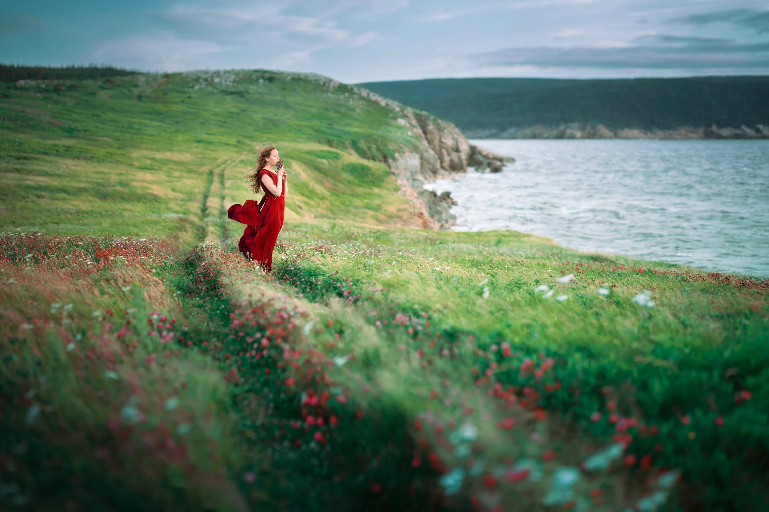 Portfolio — Elizabeth Gadd Photography