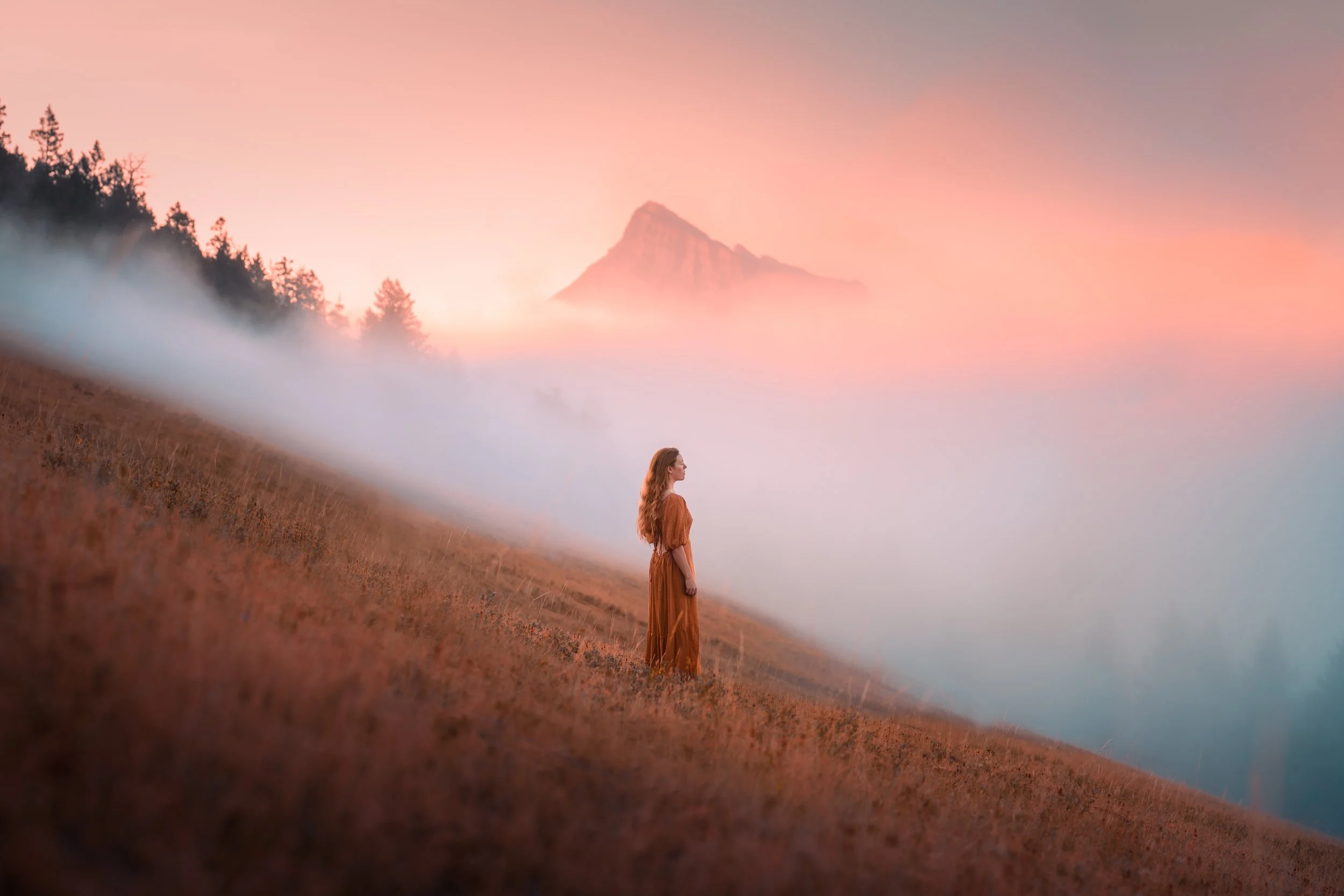 Portfolio — Elizabeth Gadd Photography