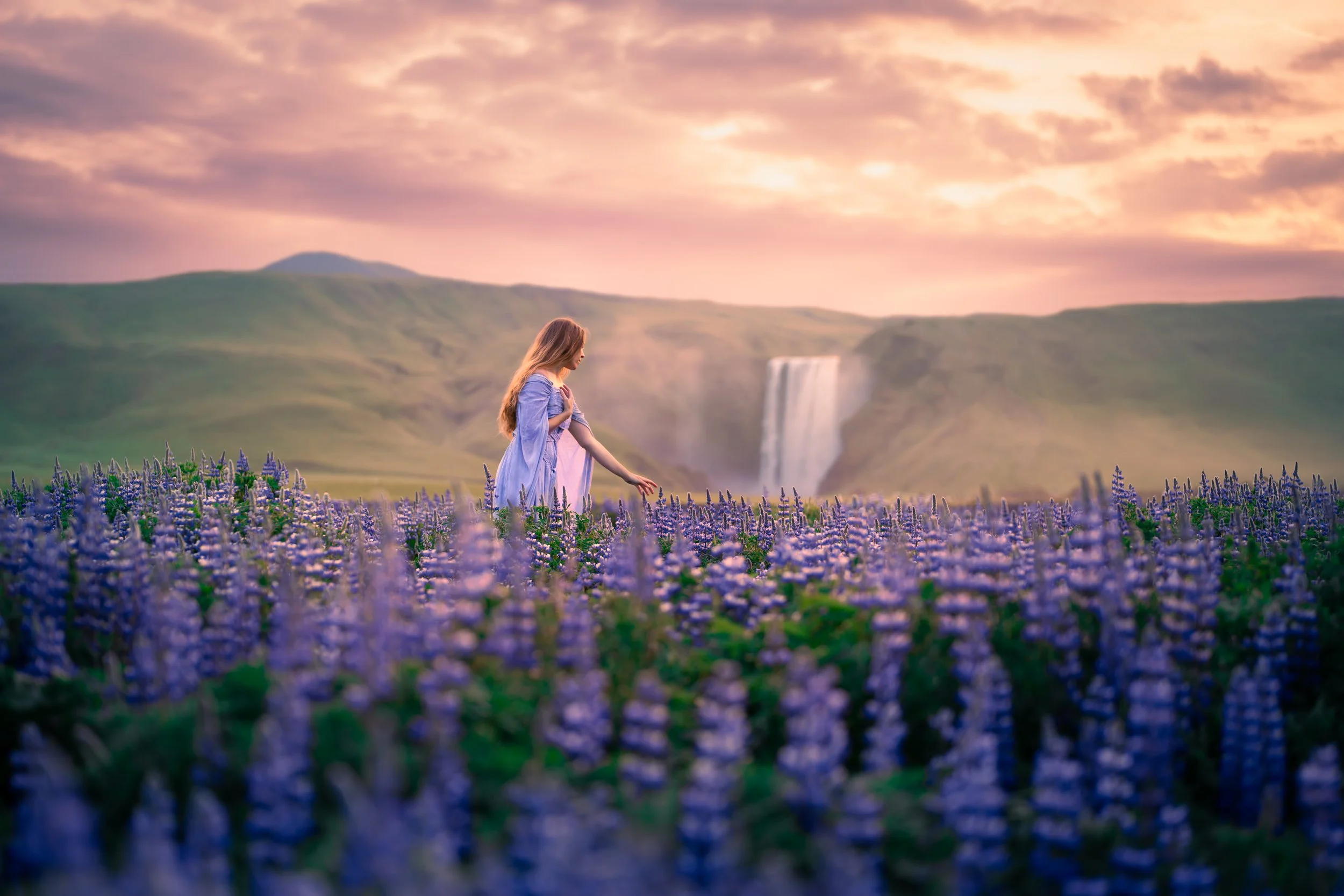 Portfolio — Elizabeth Gadd Photography
