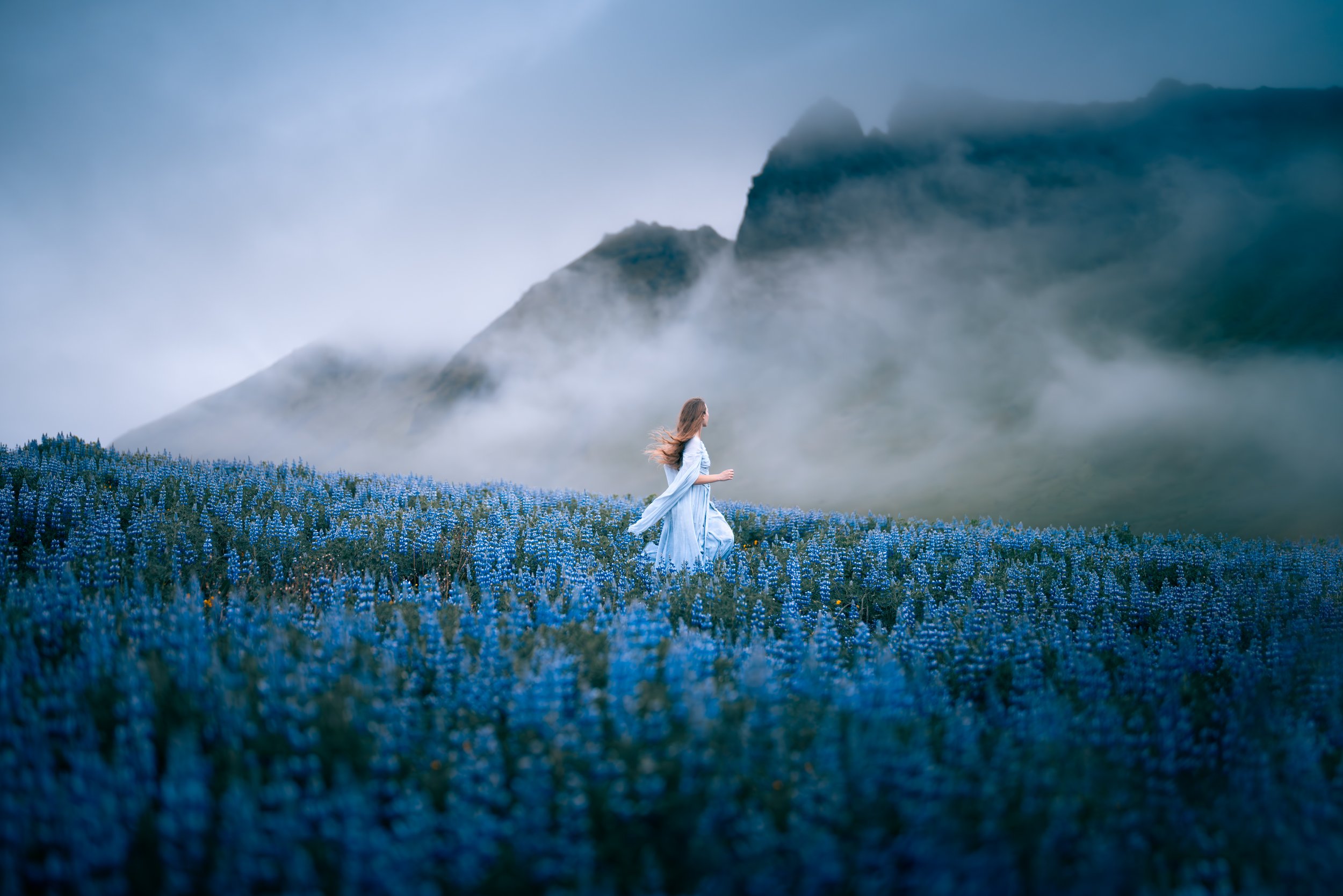 Portfolio — Elizabeth Gadd Photography