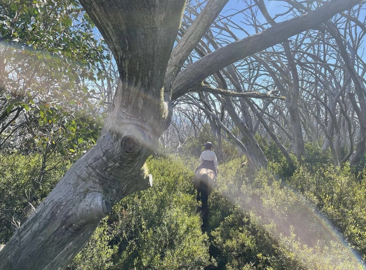 Schedule — Hidden Trails by Horseback