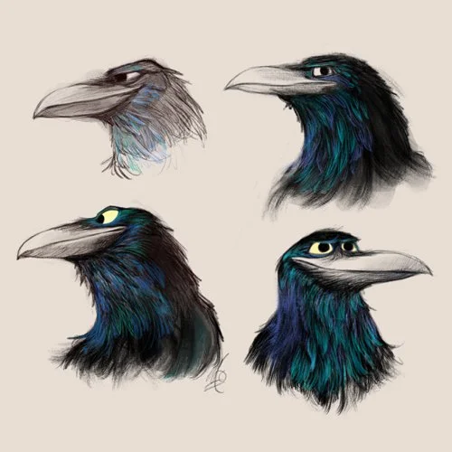 Raven Head Drawing
