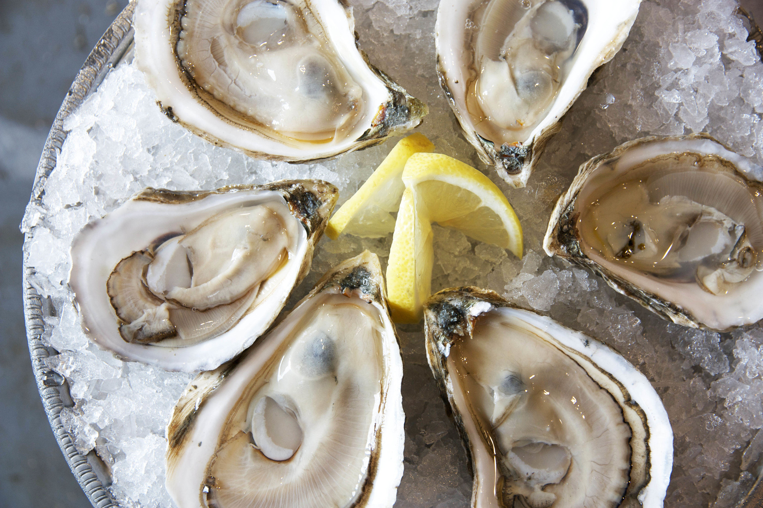 Pemaquid Oysters | Oysterology Online — Pangea Shellfish Company ...