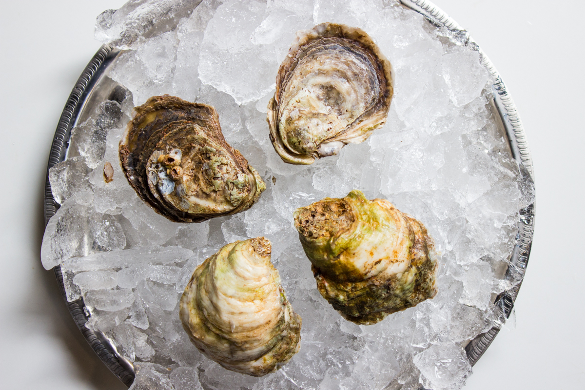 Summerside Oysters | Oysterology Online — Pangea Shellfish Company ...