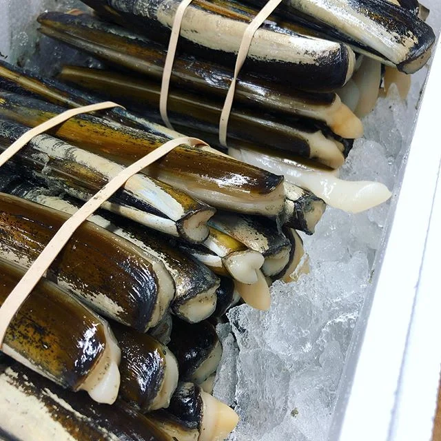 Pangea Shellfish Company | Oyster and Shellfish Wholesale