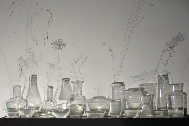 Ploch Art Gallery — Sharon Lynne Wilson Center for the Arts