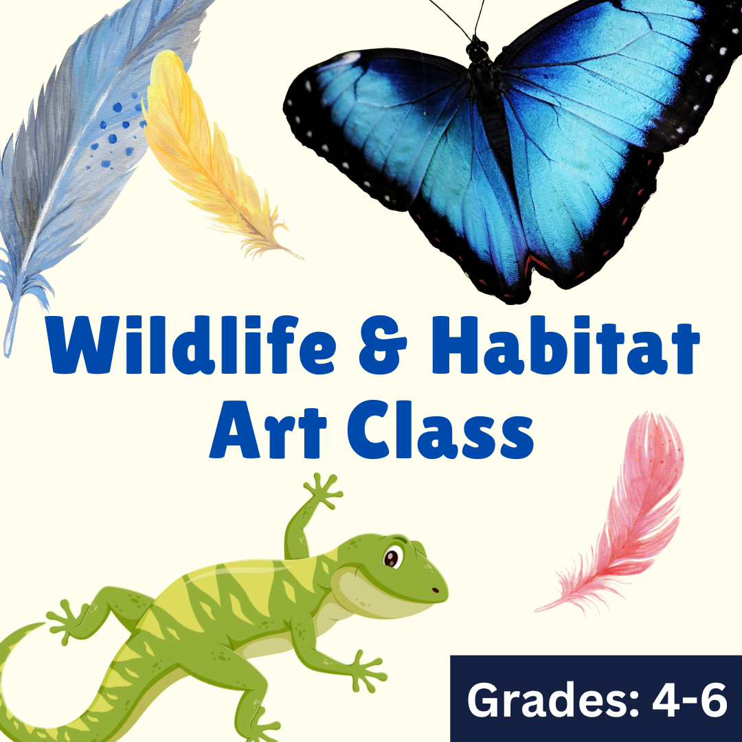 Wilson Center Classes — Sharon Lynne Wilson Center for the Arts