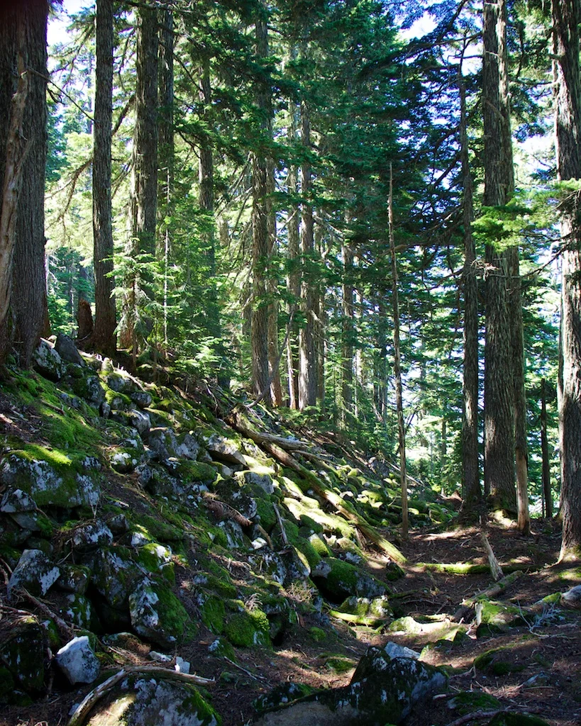 Into the Alpine Lakes Wilderness: Mason Lake — Adina Marguerite