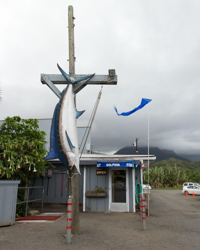 Gluten Free On Kauai's North Shore — Adina Marguerite