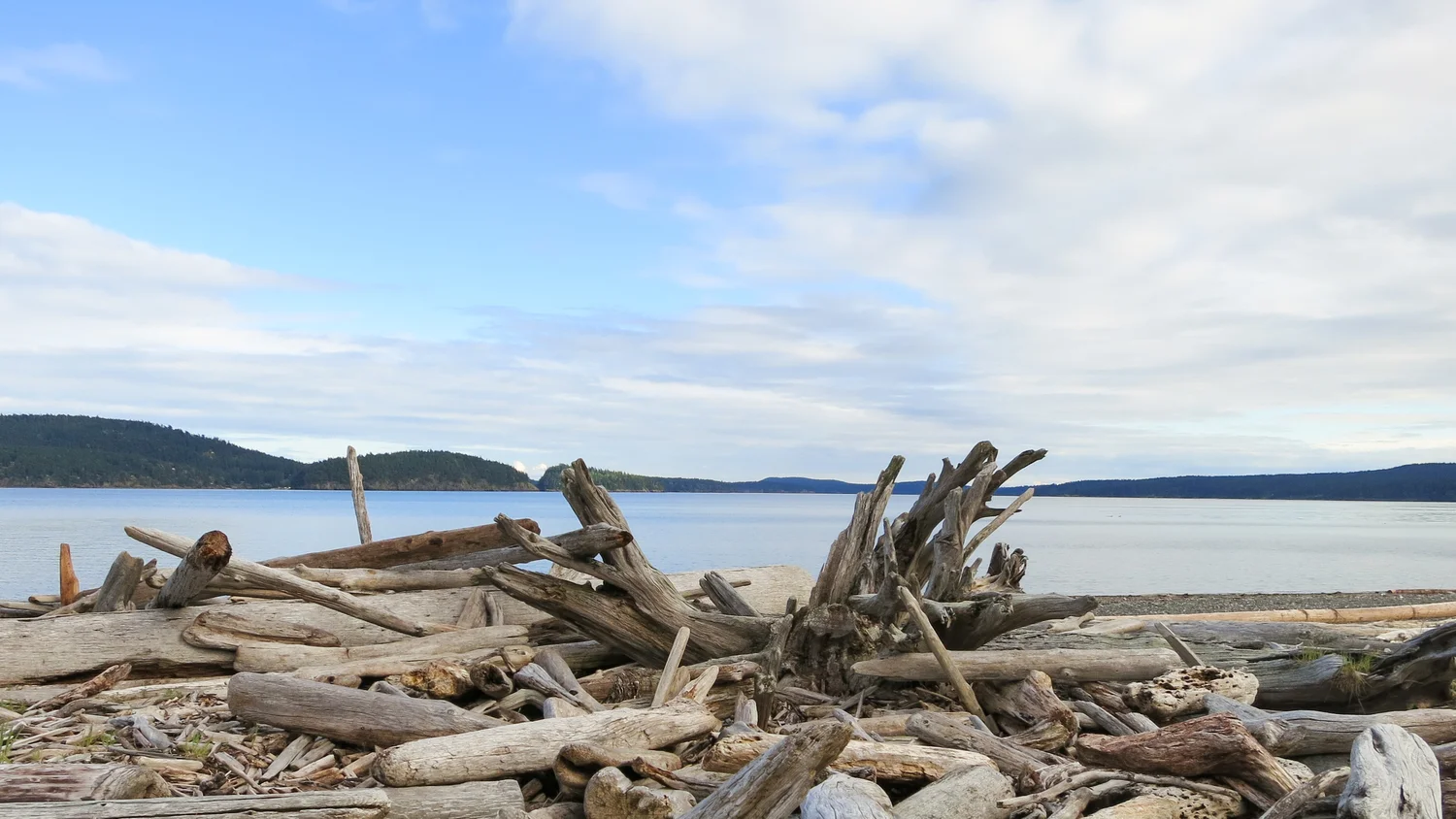 Travel Guide: Washington — Adina Marguerite