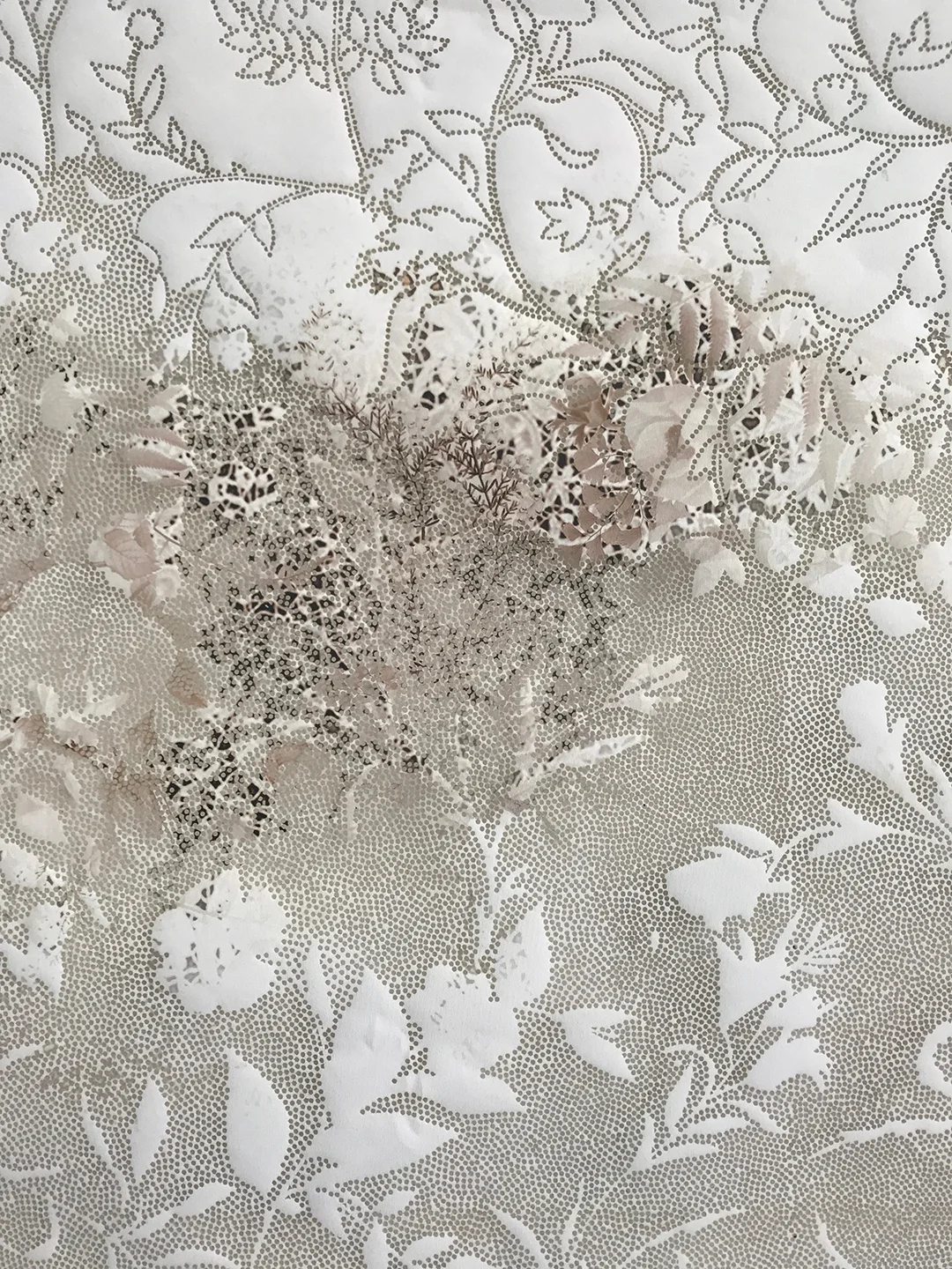 About — Piper Shepard