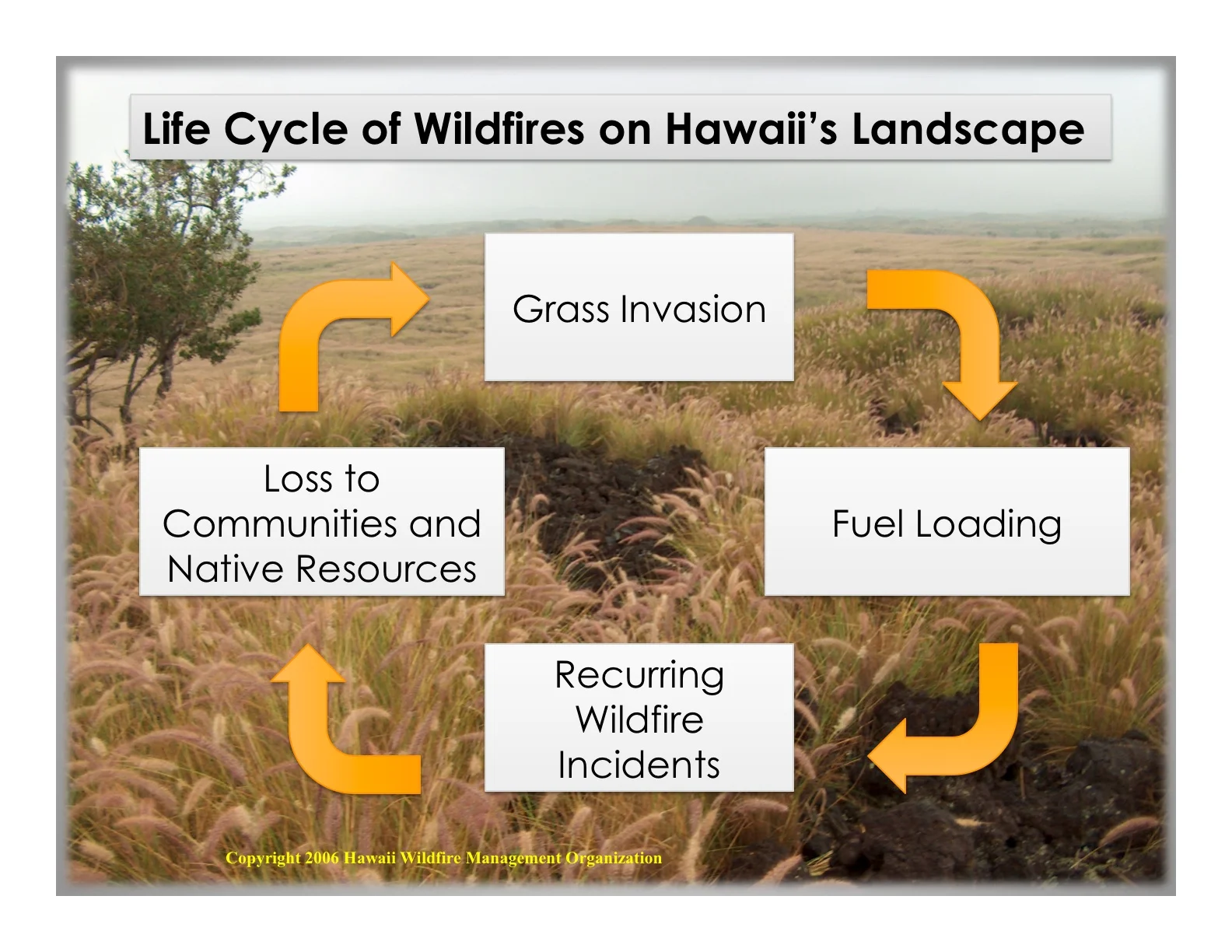 The Challenge and Our Hope — Hawaii Wildfire Management Organization