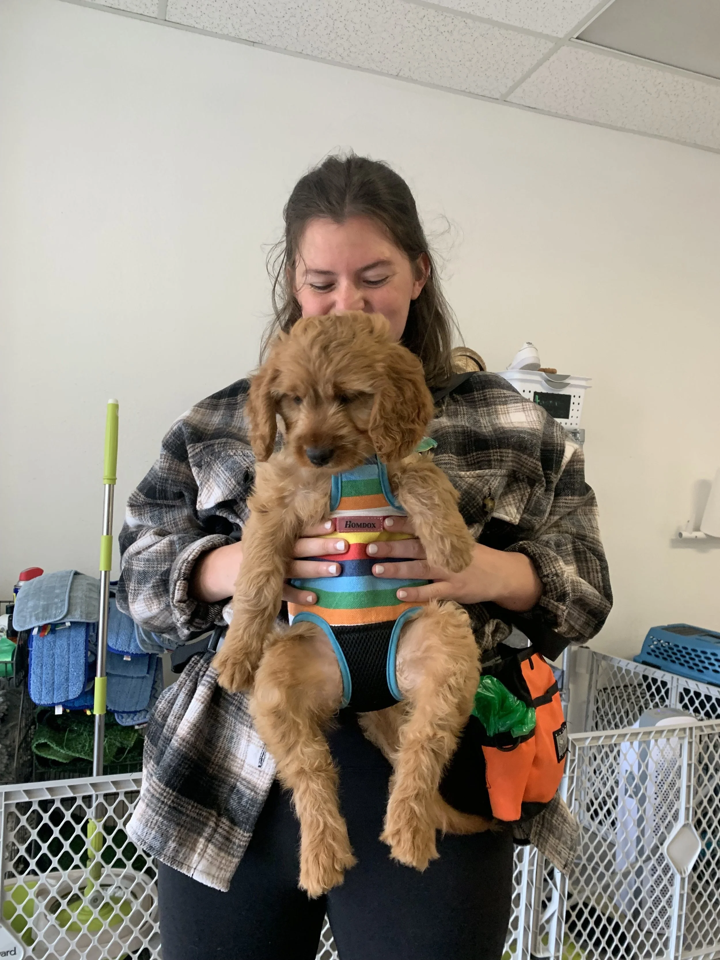 Team SmartyPup! — SmartyPup!