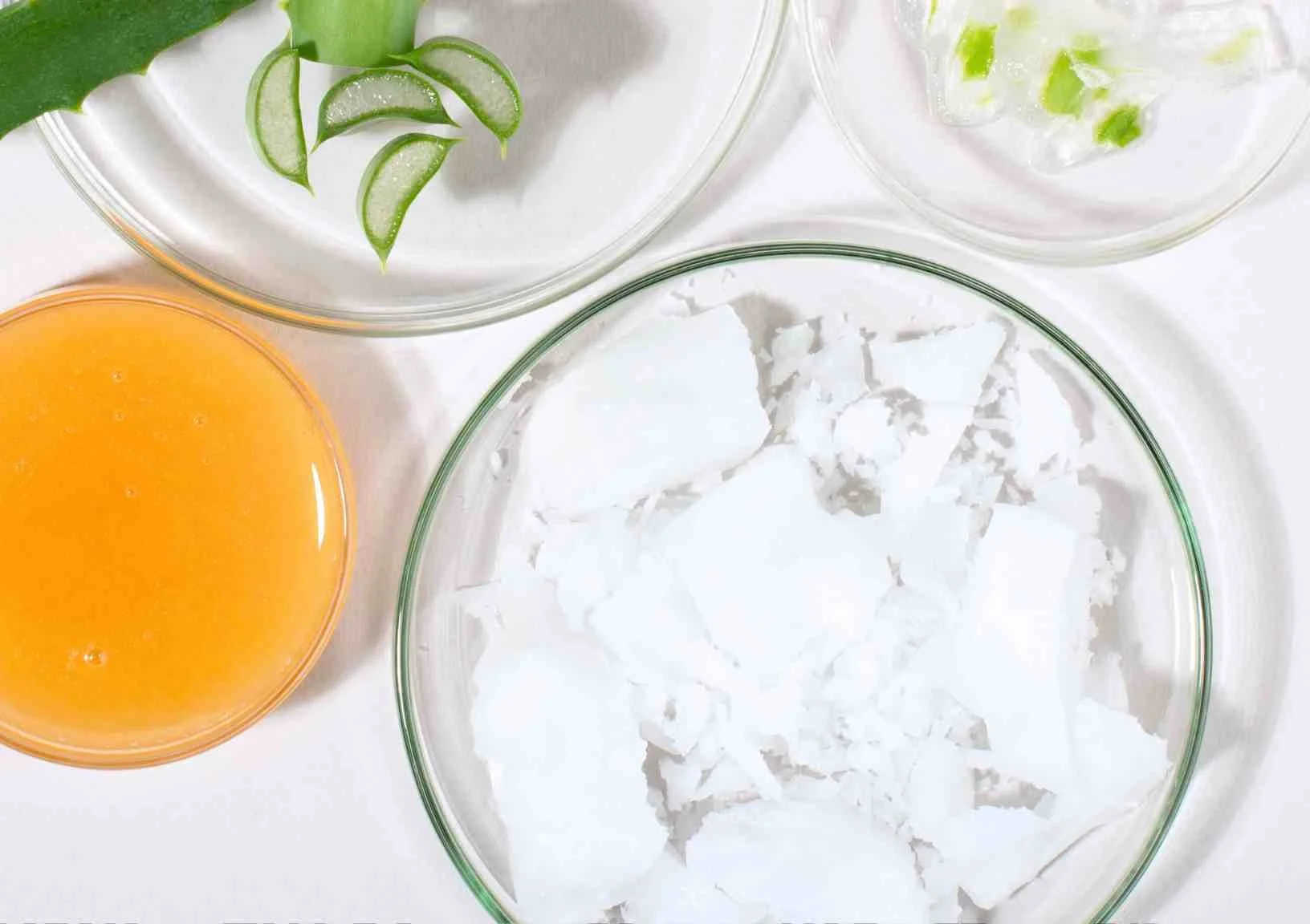 Best Ingredients to look for in Body Lotion — Moody Sisters Skincare