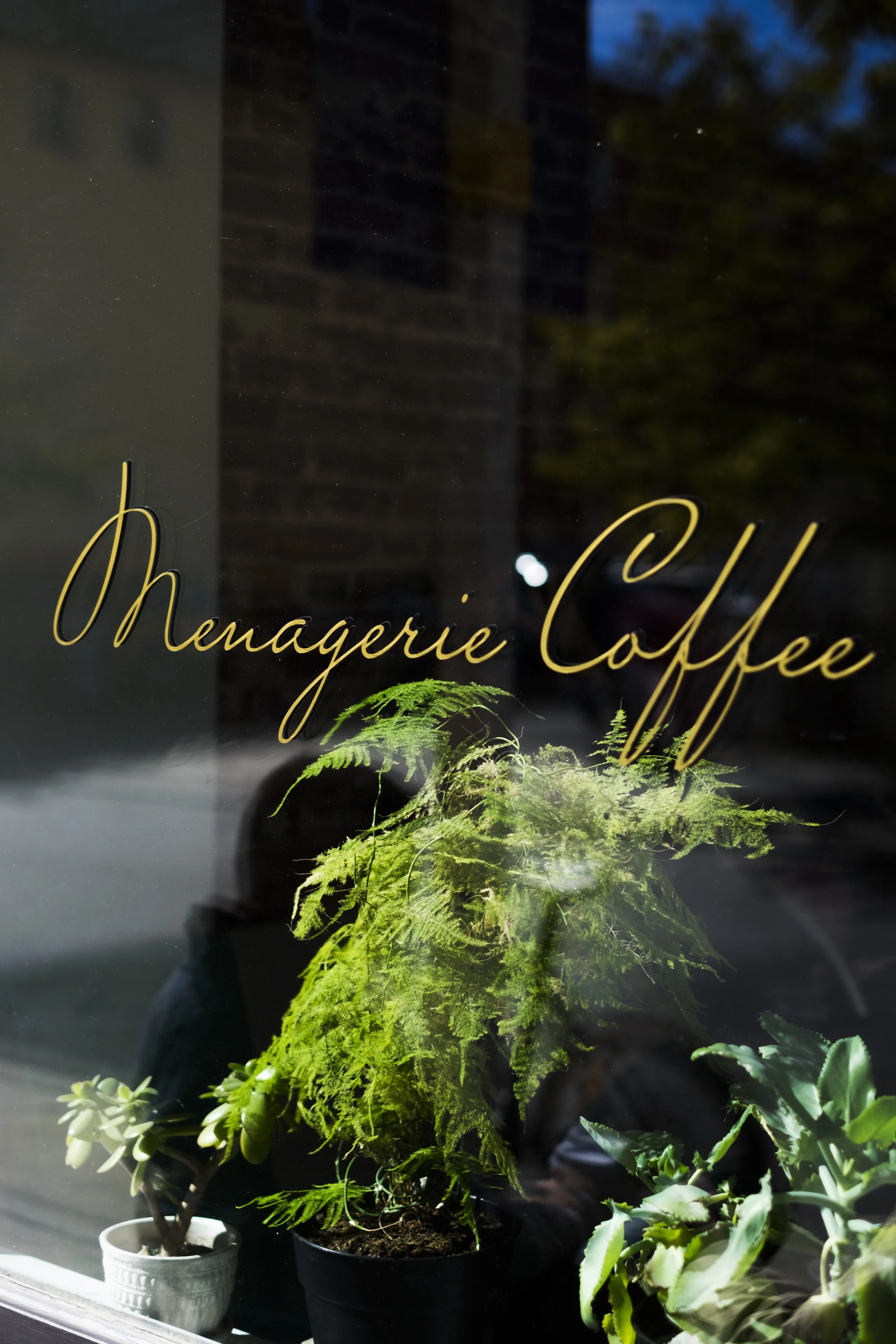Menagerie Coffee