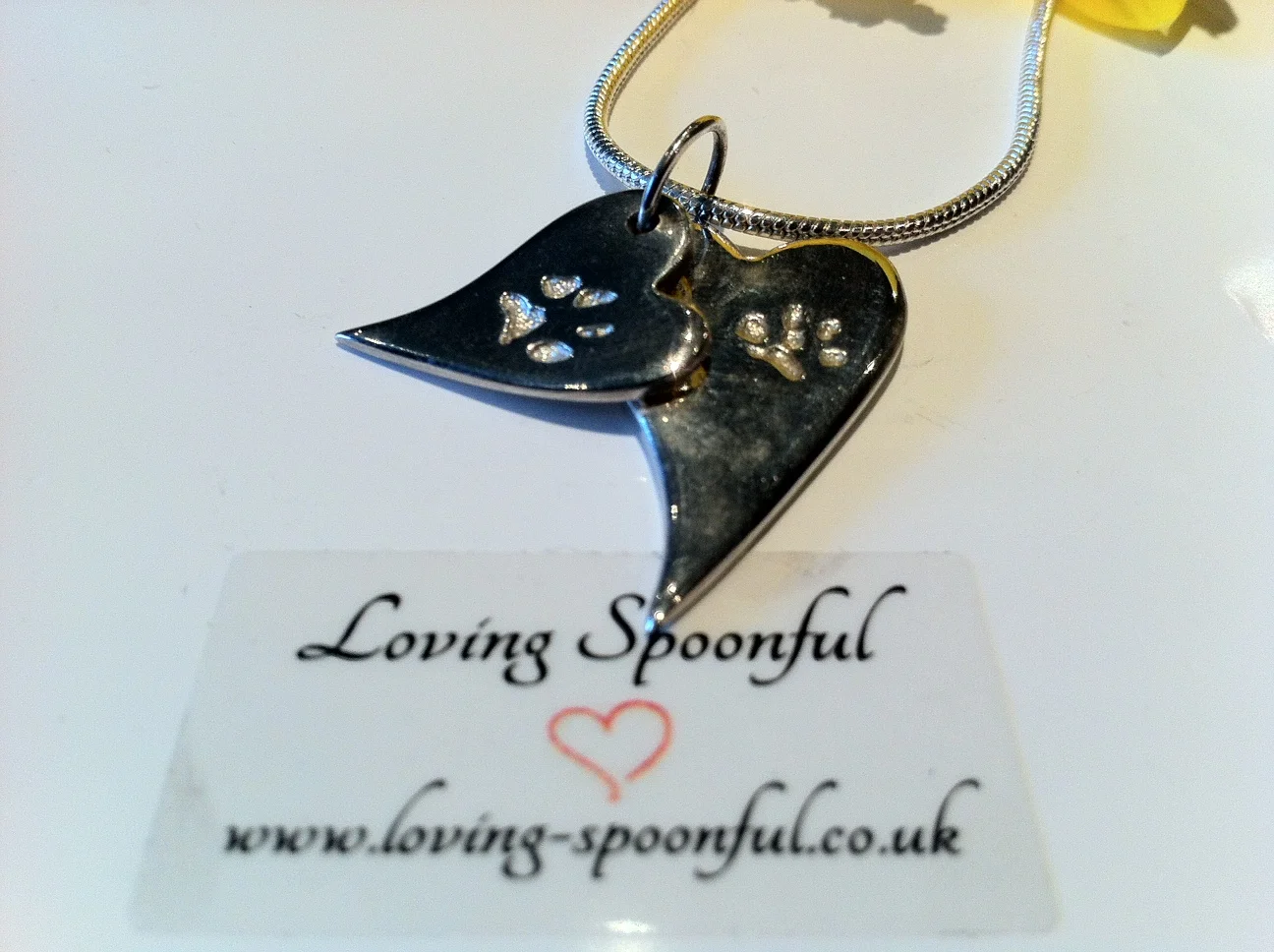 Gallery — Loving Spoonful