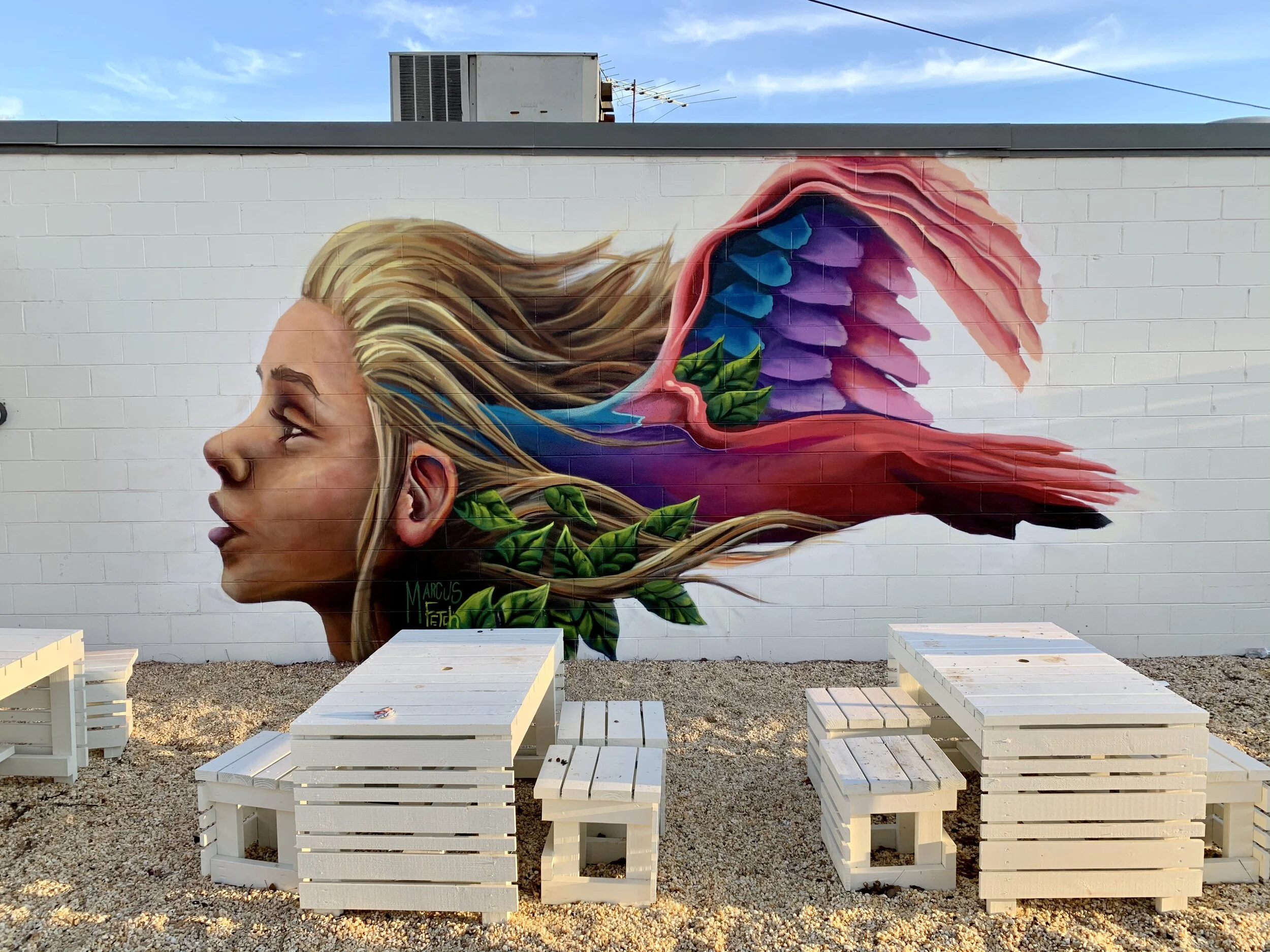 Marcus Fetch Art