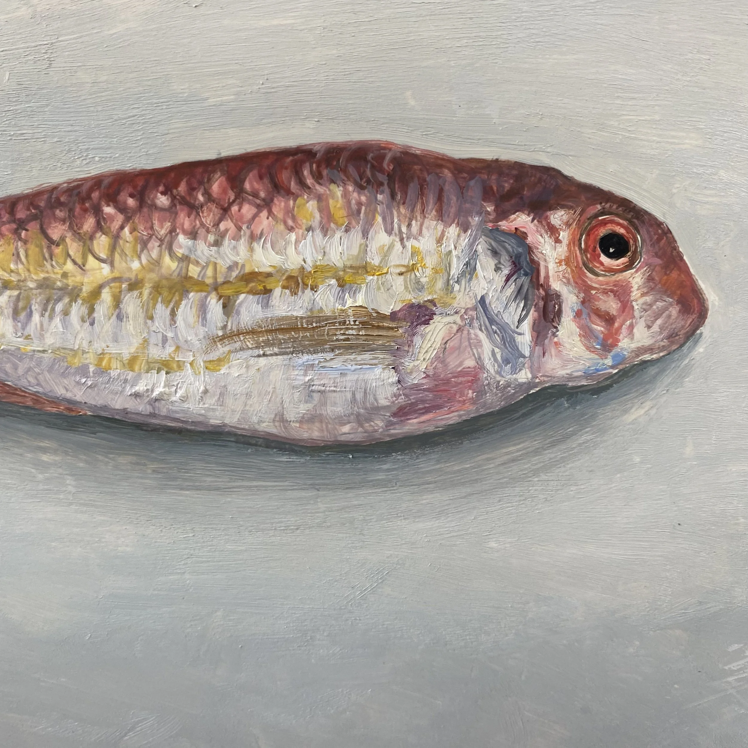 Available Still Life — Katie Wilkins Fine Art