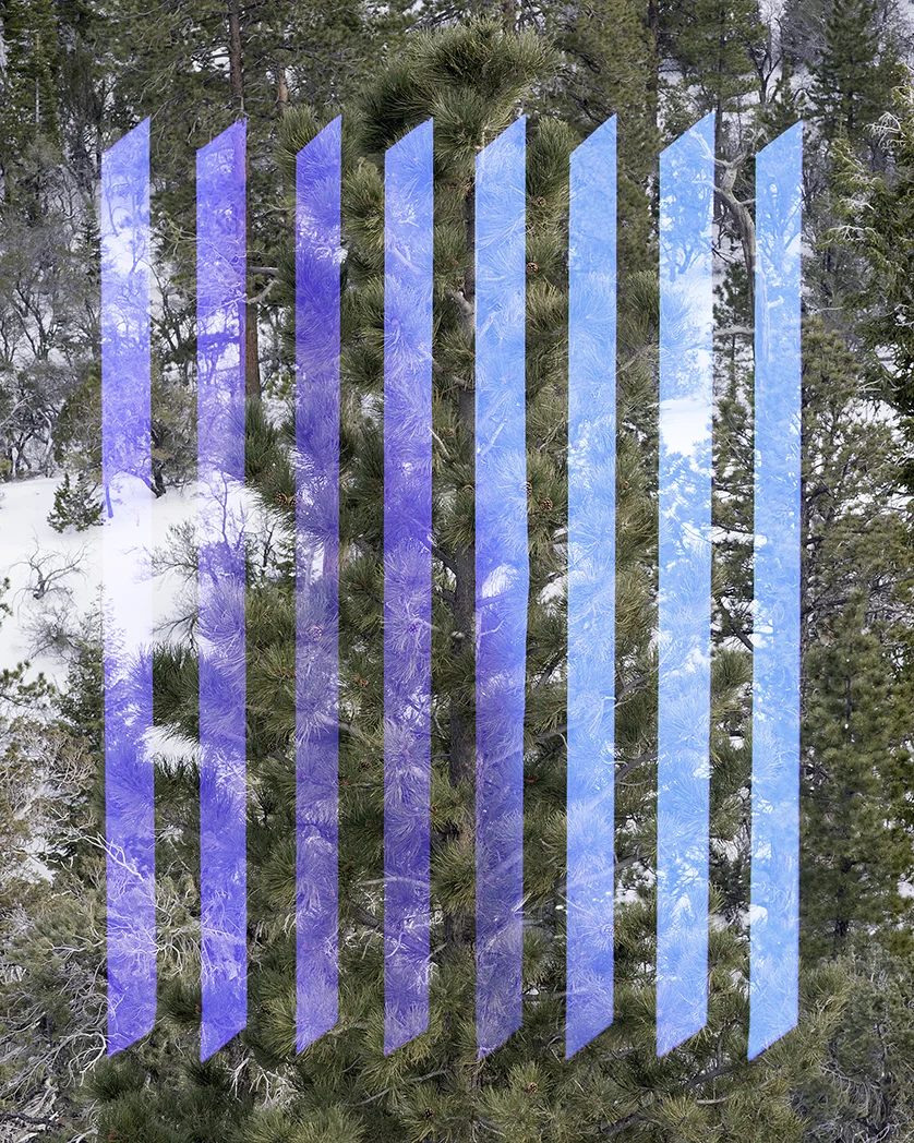 BLOG — Charlie Kitchen