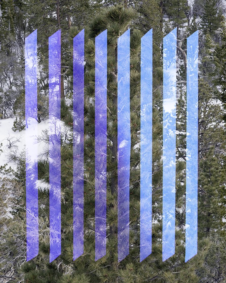 BLOG — Charlie Kitchen