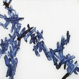 Elements — LIA HALLORAN