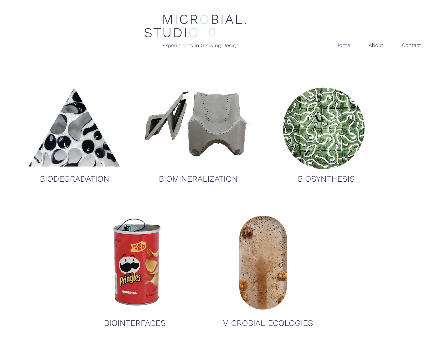 Microbial Studio — Orkan Telhan