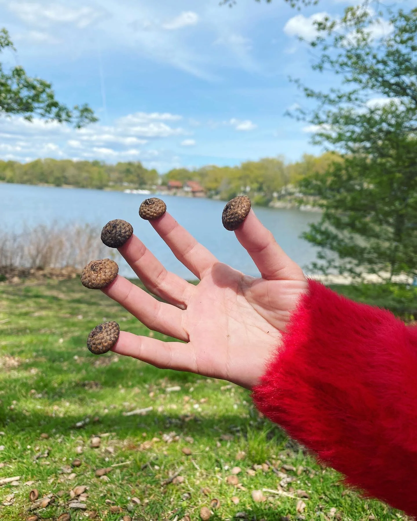 About — Alexis Hope